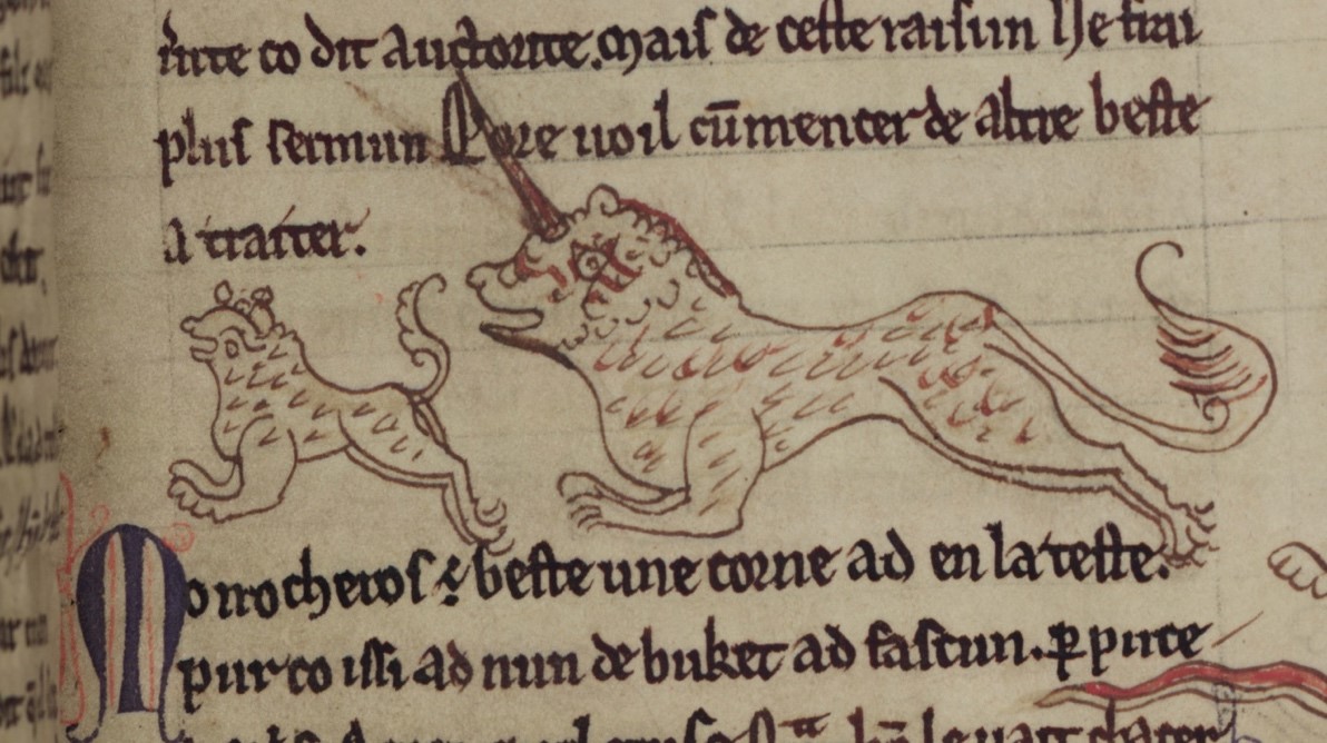 Merton’s Beasts: a look at the images in a Medieval bestiary ...