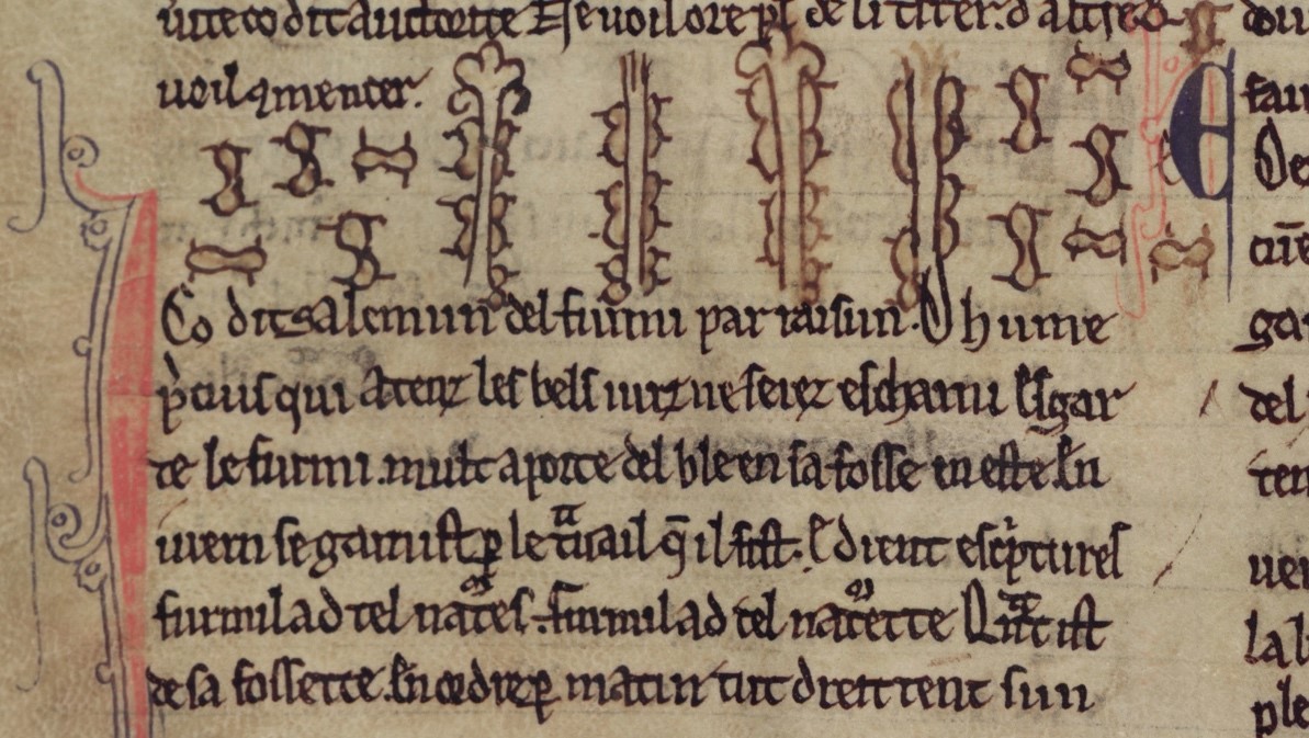 Merton’s Beasts: a look at the images in a Medieval bestiary ...